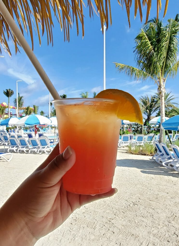 RCCL - Perfect Day at Coco Cay - My Mickey Vacation Travel